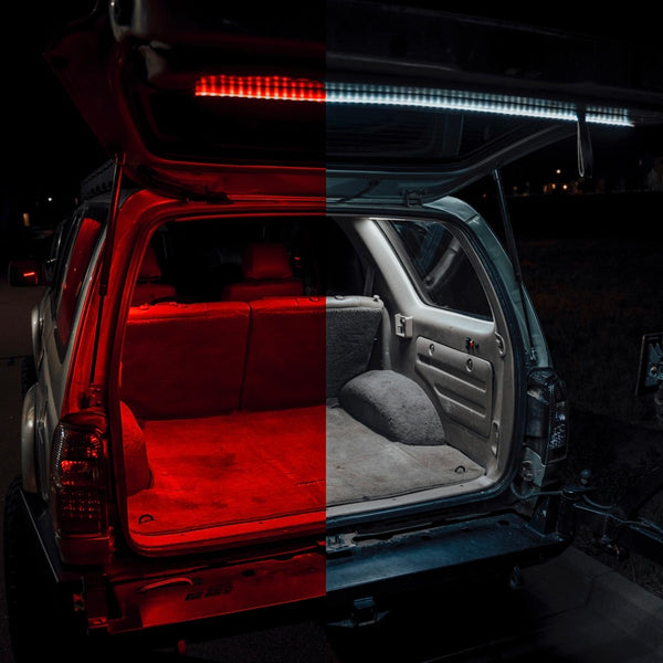 Dual Color Cargo Light Kit